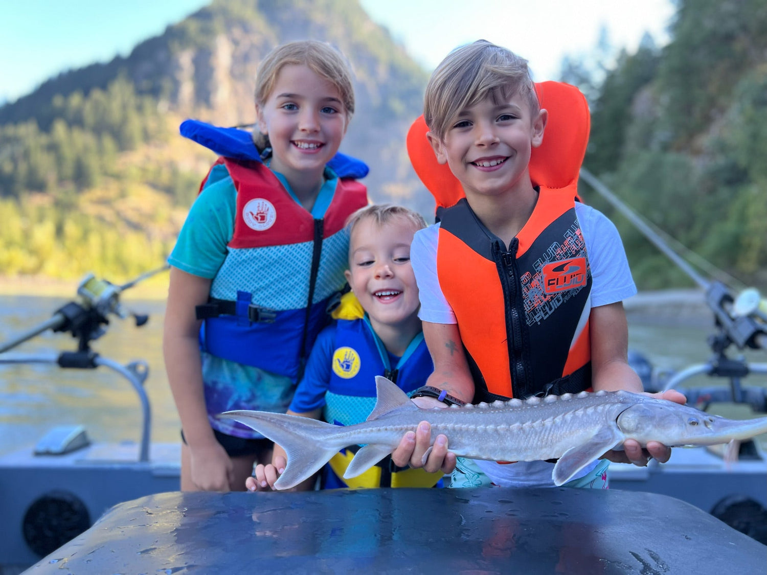 Fraser River Sturgeon Fishing Charters | Sturgeon Co - What to Look for ...